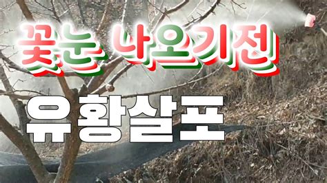 유황합제 살포 Youtube