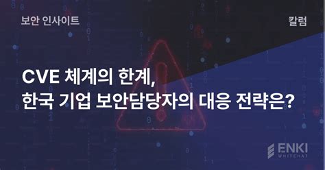 Cve 체계의 한계 한국 기업 보안담당자의 대응 전략은 엔키화이트햇