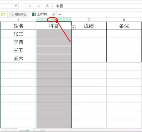 excel如何设置选项格式 如何将excel的单元格设置成下拉选项？ 赛派号