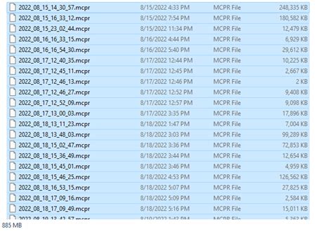 Raw Files Pile Up And Dont Delete Themselves · Issue 765 · Replaymod