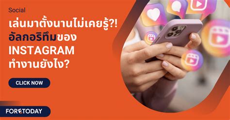 เล่นตั้งนานไม่เคยรู้ อัลกอริทึมของ Feed Stories Explore Reels บน