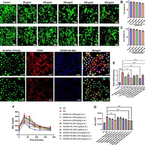 A Synthesis Scheme Of Metformin Loaded Graphene Oxide Quantum Dots Download Scientific