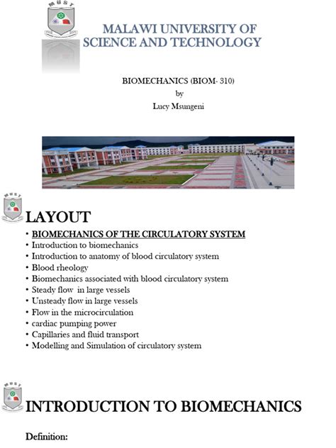 Lecture 1 Circulatory System Pdf Circulatory System Heart
