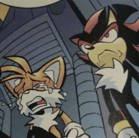 Hardest Sonic Comic Panel Rhardimages