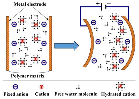 Polymers Free Full Text Performance Enhancement Of Ionic Polymer Metal Composite Actuators