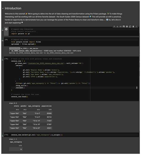 alier r on linkedin polars pydata rstats datascience