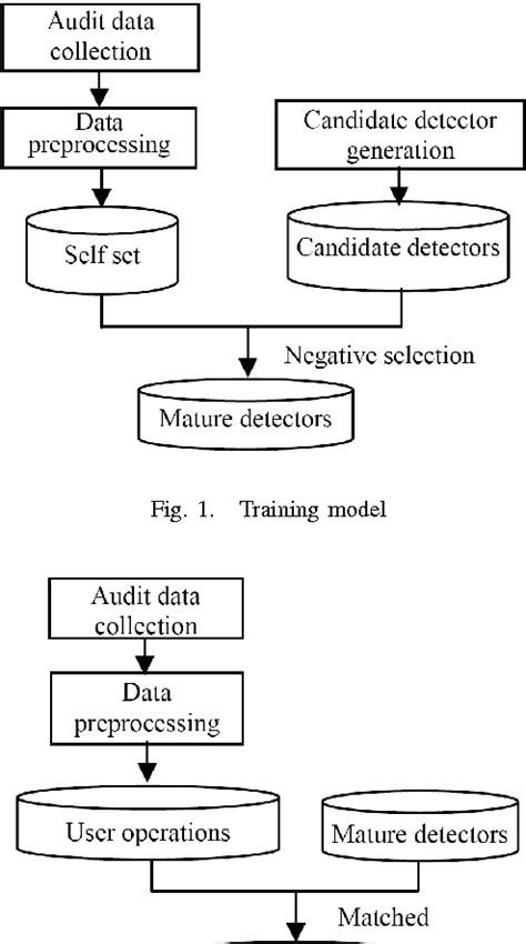 Figure 1 From An Immune Based Relational Database Intrusion Detection