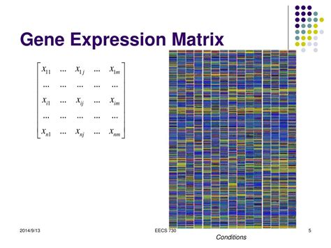 ppt eecs 730 introduction to bioinformatics microarray powerpoint