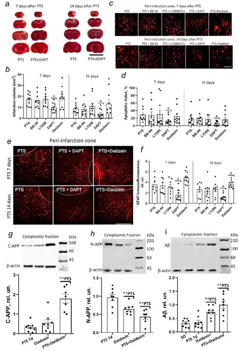 Effects Of Secretase Inhibitors Ly2886721 An Inhibitor Of