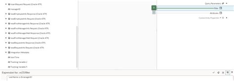Using The Filter Parameter Of The Idcs Api — Cloud Customer Connect