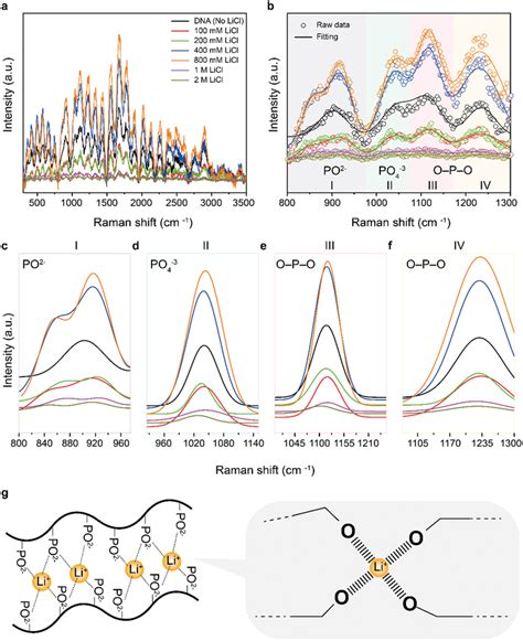 Raman Analysis Of Dna Gel A Full Raman Spectrum Of Pristine Dna No