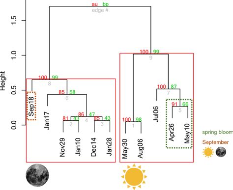 grouping of the samples according to the similarity in their transcript