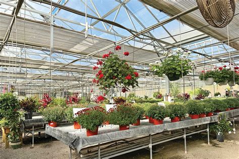 The Benefits Of An Automated Greenhouse In Commercial Growing Growspan