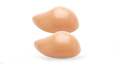 Biopsy And Elastography Ultrasound Training Model Elevate Healthcare