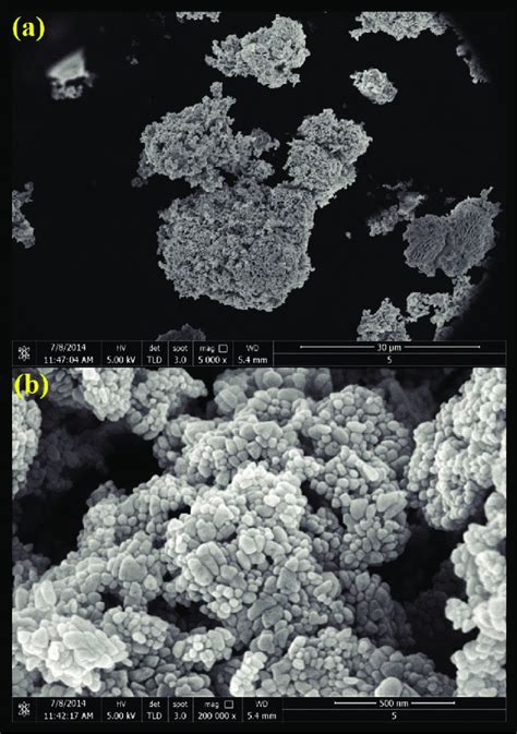 SEM Micrograph For ZnO A 5000 B 200000 Download Scientific Diagram