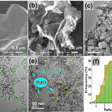 A Sem Micrograph Of Go B Sem Micrograph Of Pgo Nh 2 Pdo C E