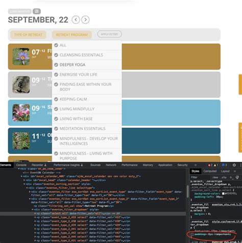 Icons From Filter Dropdown Selection Menu Are Displaying Even Though Setting Is ‘globally Hide