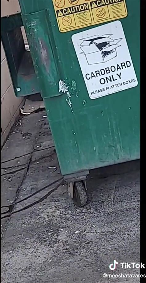 Bathroom Is Broken Peeing Behind Dumpster