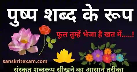 पुष्प शब्द के रूप Pushp Shabd Roop पुष्प शब्द रूप संस्कृत Pushp Shabd Roop In Sanskrit