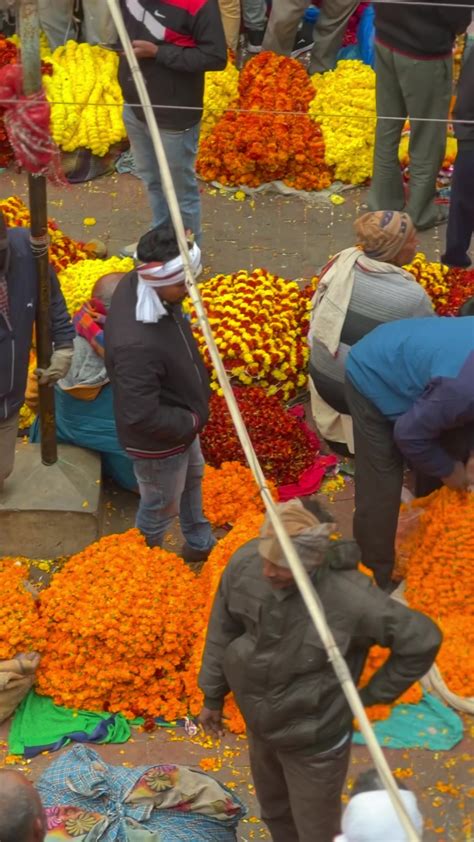 ჩავფრინდით ინდოეთში ფილმში მაჰარაჯას მებაღე რომელსაც ბრიტანელები იღებენ შესაძლოა დამამტკიცონ