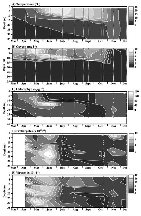 Time Series Contours Of A Temperature B Dissolved Oxygen C Download Scientific Diagram