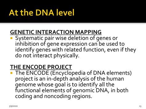 Functional Genomics And Tools Pptx
