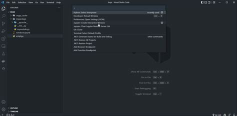 Import Could Not Be Resolved For Local Packages And Modules · Issue 3035 · Microsoftpylance