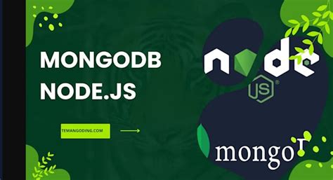 Build A Scalable Backend With Node Js And Mongoose By Jaminurislam2 Fiverr