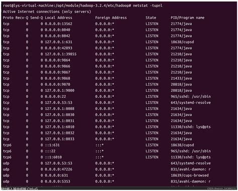 银河麒麟高级服务器操作系统v10上安装idea集成开发环境并导入springboot项目 （vmware Ubuntu设置为服务器，主机