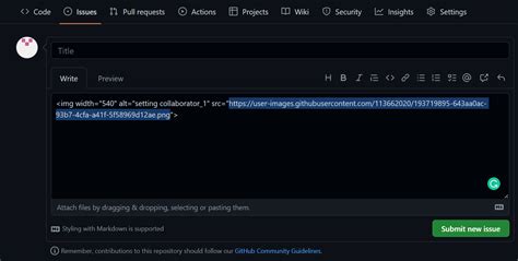 Github Pnucsecapstone Template