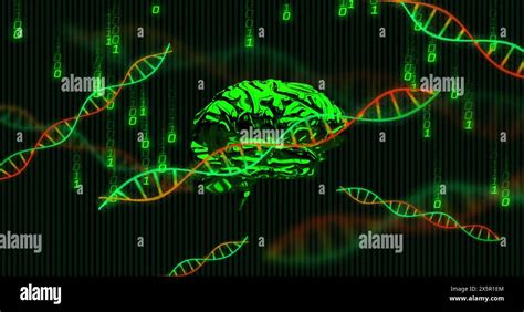 Image Of Dna Helixes Rotating Digital Human Brain Falling Binary