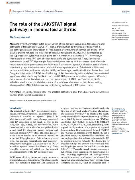 Pdf The Role Of The Jak Stat Signal Pathway In Rheumatoid Arthritis