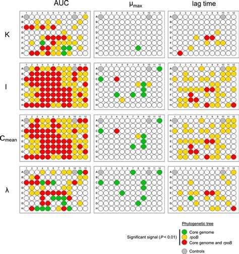 Overview Of Continuous Traits Including Area Under The Curve Auc