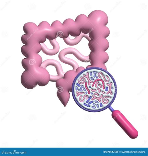 3d Render Abstract Human Intestine And Magnifier Gut Microbiome