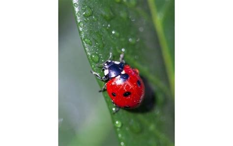 Teresa Ann Mccloskey Obituary 2025 Pendleton Or Pendleton