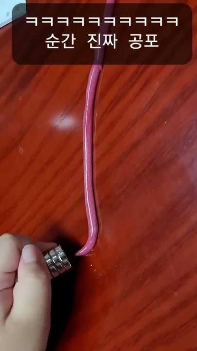 [닥터쑥] 순간 공포 ㅋㅋㅋㅋㅋ 자성슬라임 Magnetic Slime Youtube