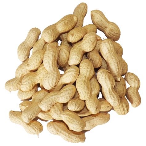Peanuts Object Detection Dataset By Pineapp