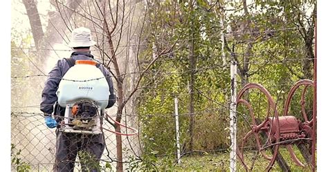 Правила при пръскане в късна есен Български Фермер