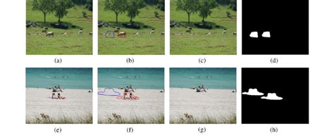 Forgery Detection Against Copy Move A Original Image From 17 B