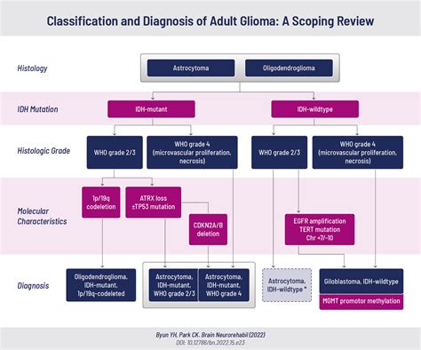 Bnr Brain And Neurorehabilitation