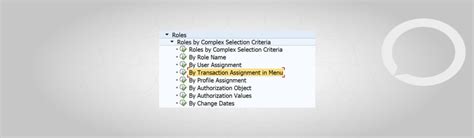 how to check roles in sap hicron