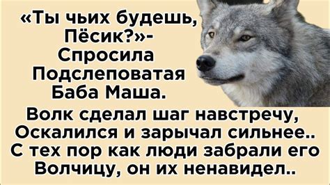 «Красная шапочка где твой Серый волк над бабой Машей в деревне посмеивались а Она…🐺 Youtube