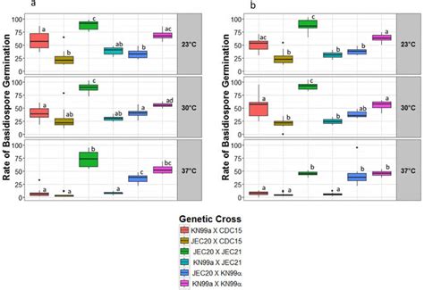 The Distribution Of Germination Rates Of Cryptococcus Basidiospores On