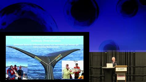 Chromatin Loop Extrusion Is A Fundamental Component Of Antigen Receptor Repertoire