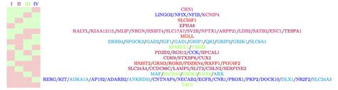 Experimental Barcodes For Clusters I Iv Post Data Processing For Gene