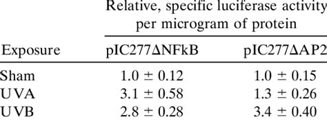 Icam 1 Promoter Activation In Normal Human Keratinocytes After Exposure