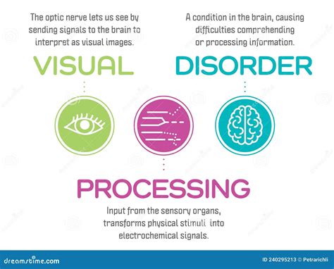 Unraveling The Challenges Of Visual Processing Navigating The World