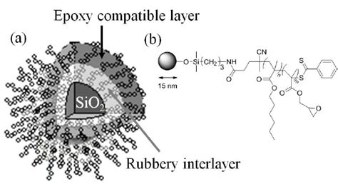 A Schematic Of A A Polymer Grafted Nanoparticle And B The Download Scientific Diagram