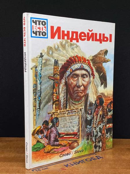 Индейцы - купить с доставкой по выгодным ценам в интернет-магазине OZON ...