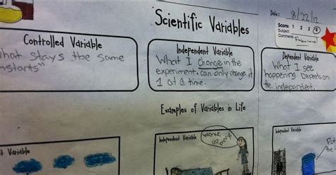 Independent And Dependent Variables In An Experiment Say What